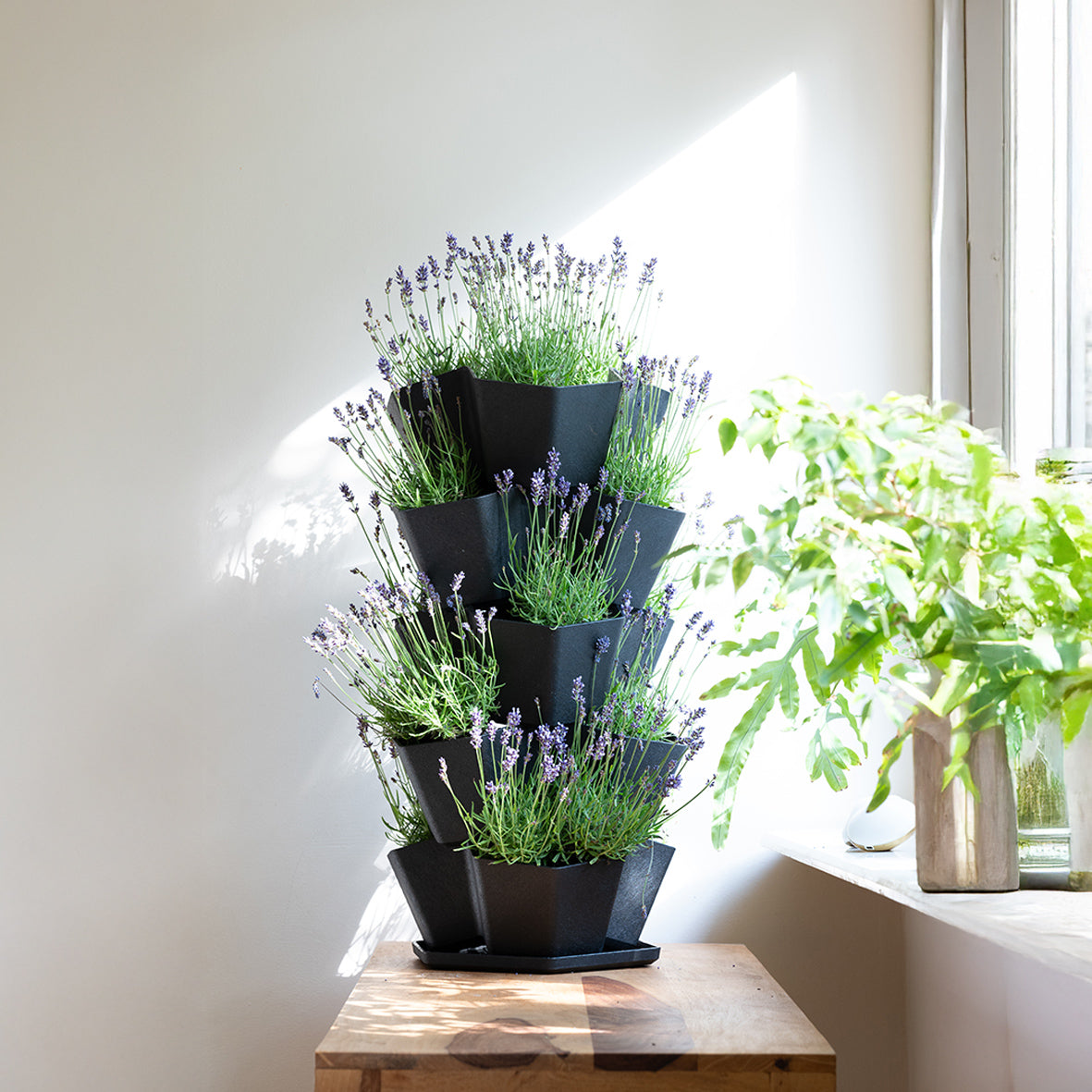 5-Tier Stackable Vertical Planter – Eco-Friendly & Space-Saving ...