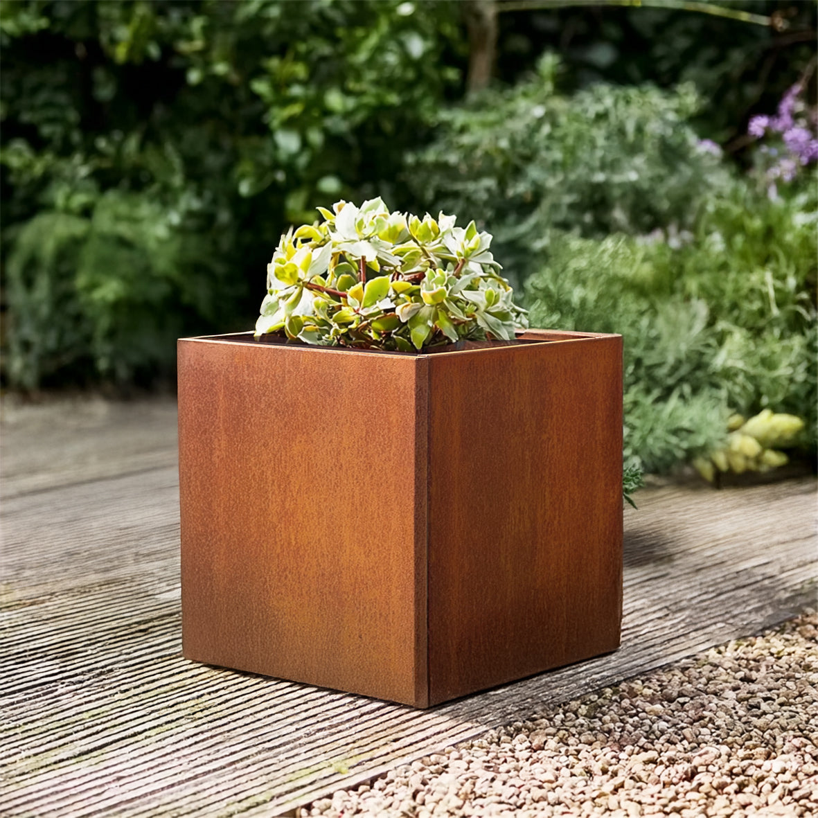 Corten Steel Planter 50cm – Pre-Rusted Metal Garden Planter – Nicoman.co.uk
